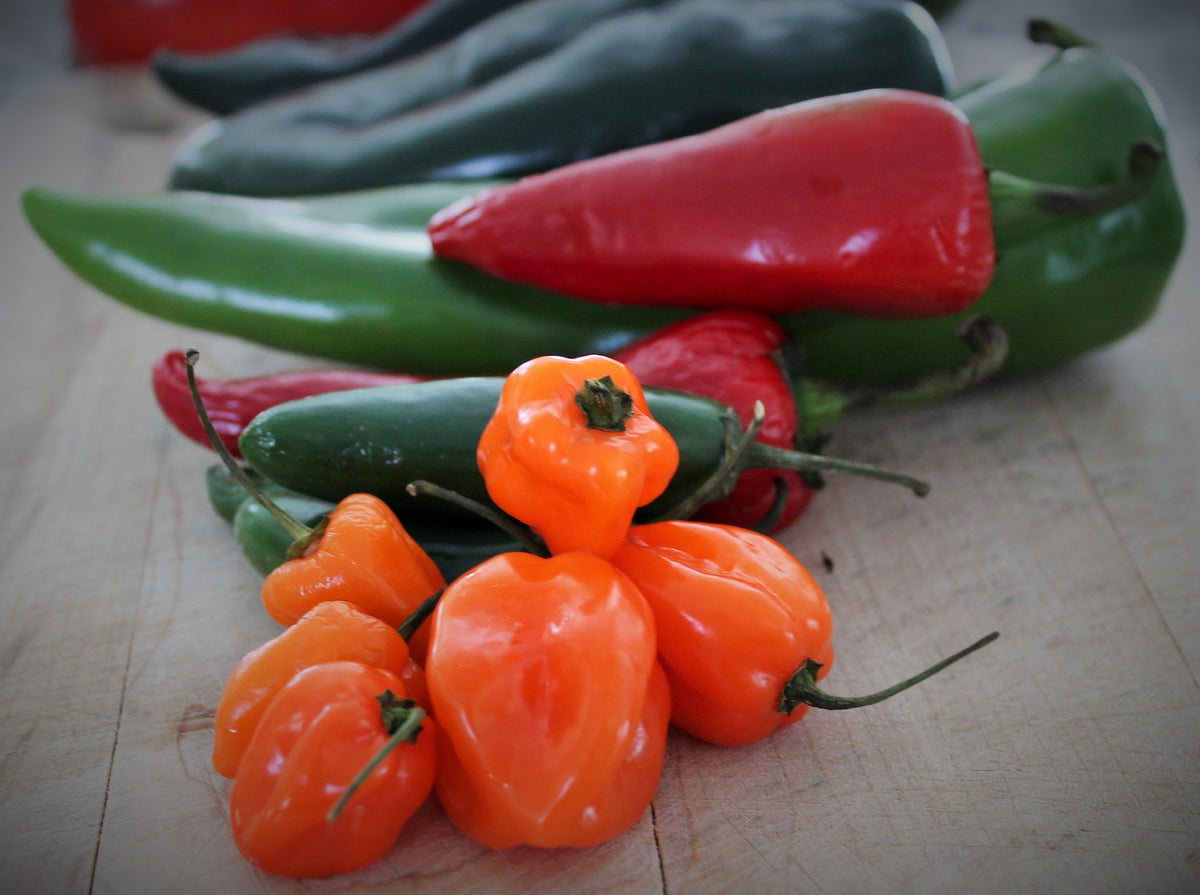 How to Pick the Perfect Pepper — Clovers Garden